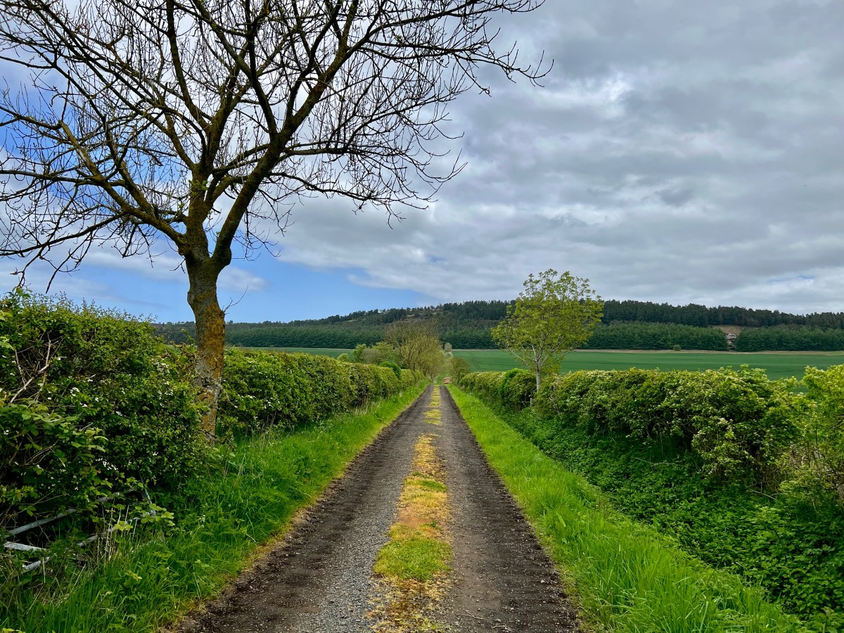 Walking St. Cuthbert’s Way | The religious imagineer